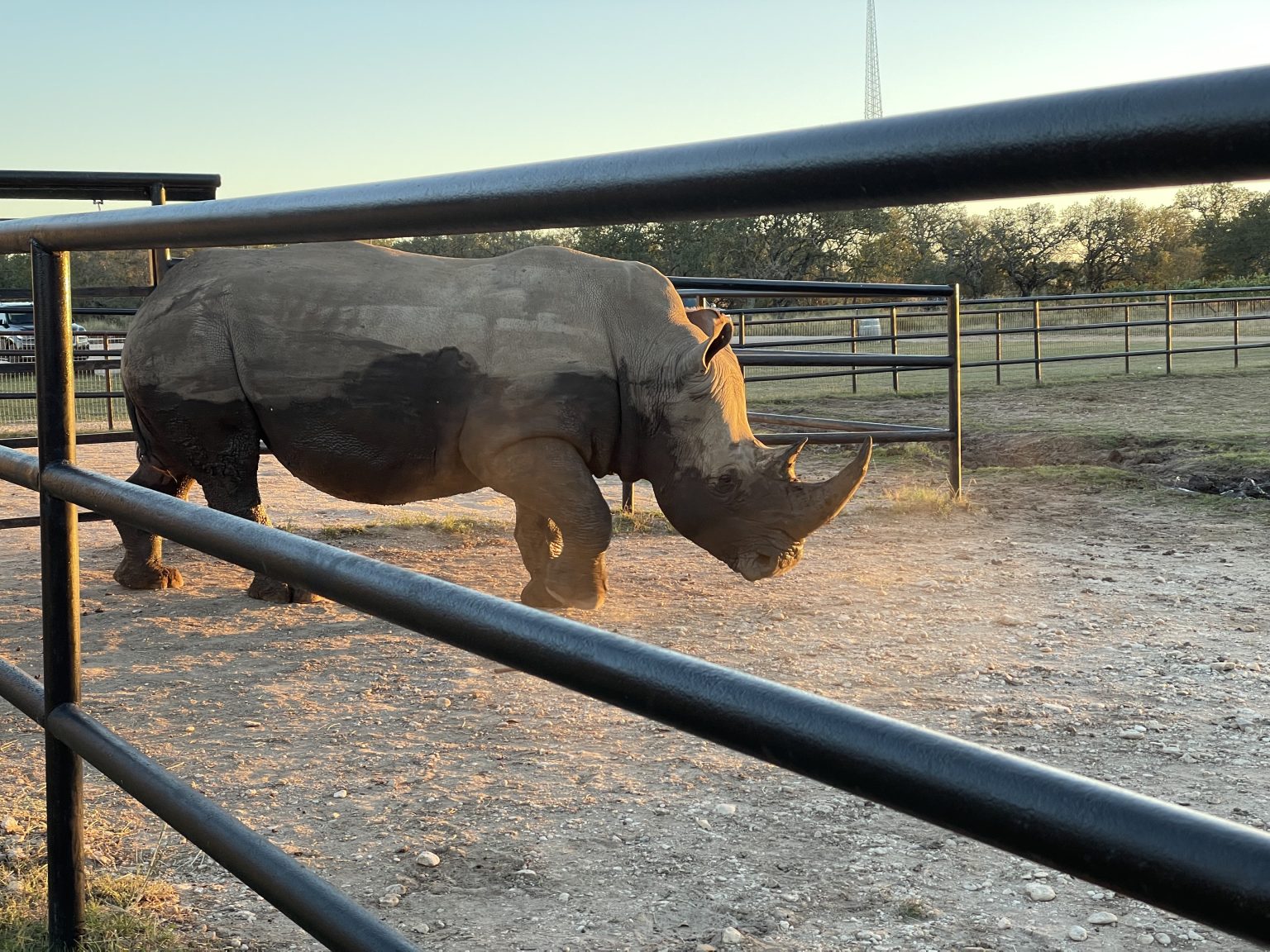 Cristaldi: Texas Wine Report (Part I – 2024) – Cristaldi & Co